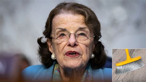Sen Feinstein Cedes Power Of Attorney To Broom Resembling Daughter