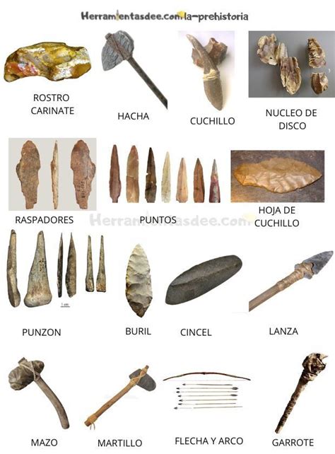 Herramientas De La Prehistoria Con Sus Nombres En 2023 Herramientas