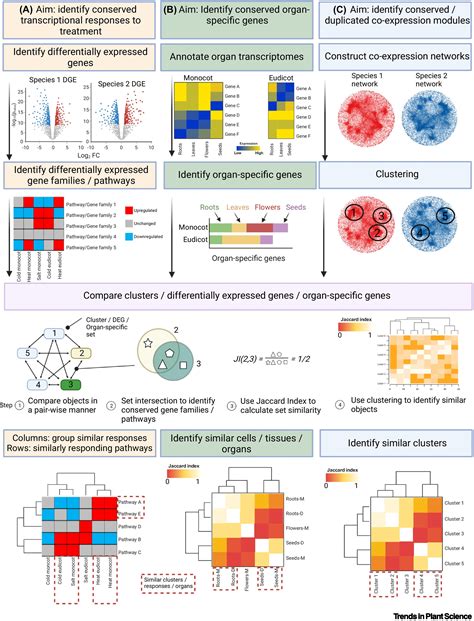 Toward Kingdom Wide Analyses Of Gene Expression Trends In Plant Science