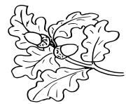 Coloriage Feuilles Autonme Arbre Hetre Dessin Feuille Automne Imprimer