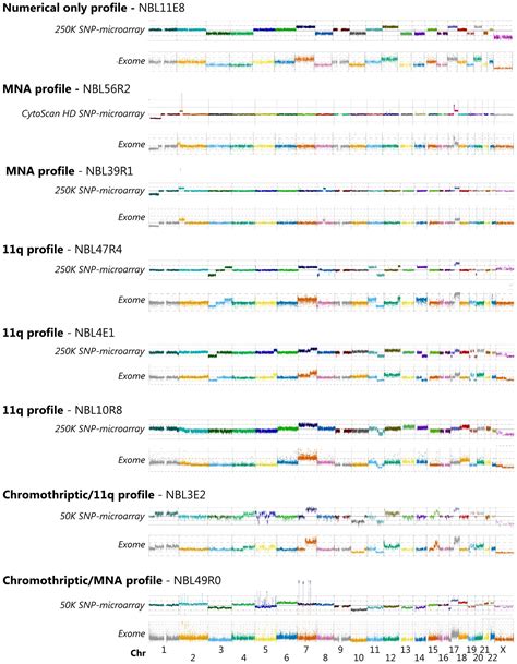 estimation of copy number aberrations comparison of exome sequencing data with snp microarrays