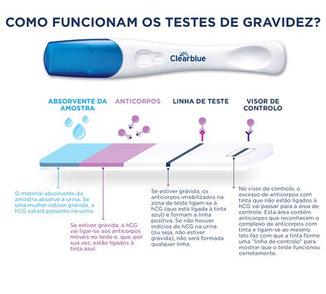Quando Fazer O Teste De Gravidez Clearblue