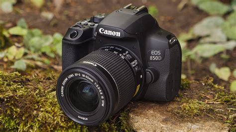 Best Dslr Camera 2024 For Beginners Dona Chloris