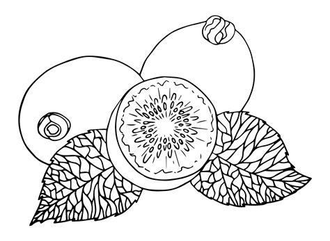 31 páginas para colorear de kiwis ColoringPagesOnly