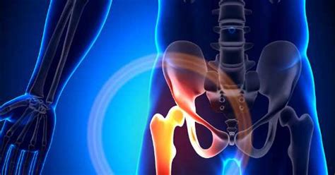 Dolor en el pubis Pubalgia Osteopatía Dinámica de Pubis
