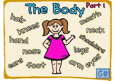 27 Body Parts Ppt English ESL Powerpoints