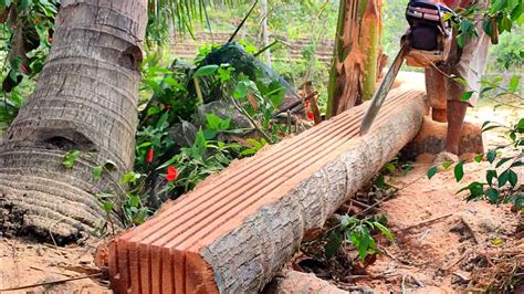 Menebang Dan Membelah Kayu Glugu Membuat Papan Cor With Chainsaw Youtube