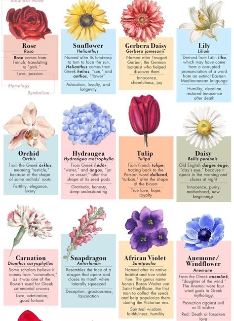 The Different Types Of Flowers That Are Blooming In Each Flower Garden