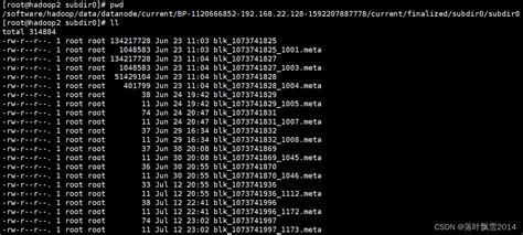 分布式文件系统hdfs实践及原理详解part3 hadoop分布式文件系统hdfs实验结果 csdn博客