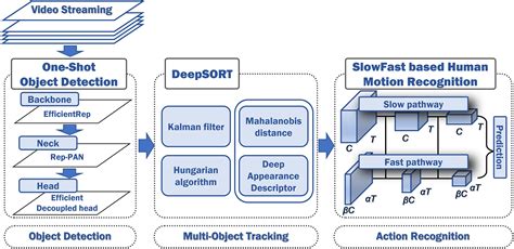 csse free full text slowfast based real time human motion recognition with action localization