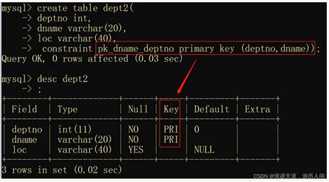 mysql主键约束（primary key pk） mysql添加主键约束 csdn博客