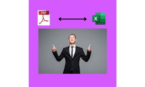 convert pdf into excel by gaural9 fiverr