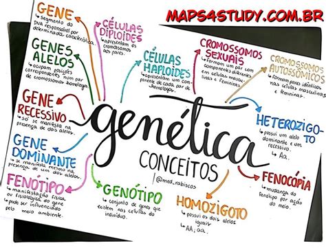 GENÉTICA Mapas mentais Enem Planos de estudo enem