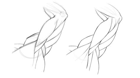 Dynamic Anatomy For Artists Drawing The Muscles Of The Arm Design Cuts