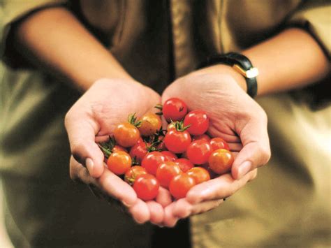 Gastronomía sostenible como respuesta al mundo actual
