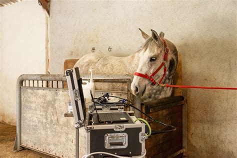 Transfert Embryonnaire