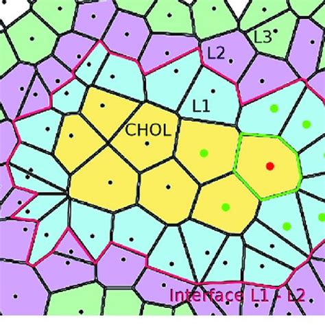 schematic 2d depiction of voronoi cells sides neighbours hydration download scientific