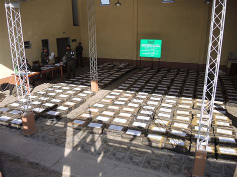 Incautan más de cinco toneladas de marihuana en Chaco Argentina gob ar