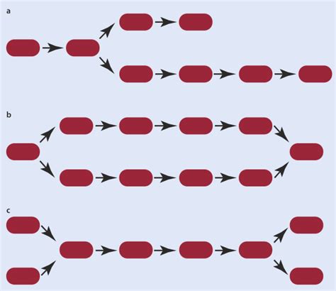 9 Sequence Errors And Repeats Lead To More Complex Kmer Graphs Nodes