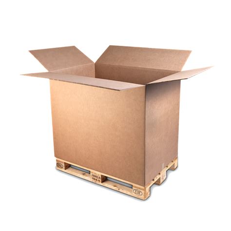 Caja Con Solapas X X Canal Doble