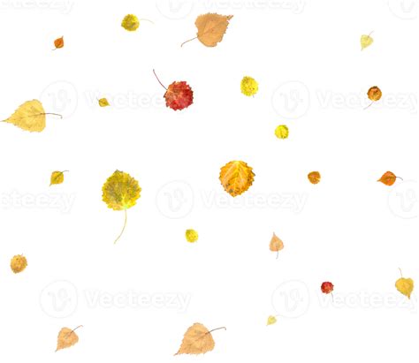 Falling Autumn Leaves 36468535 PNG