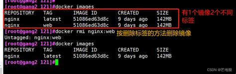 docker之镜像、容器基础操作 docker 进入镜像 芒地狠的博客 csdn博客