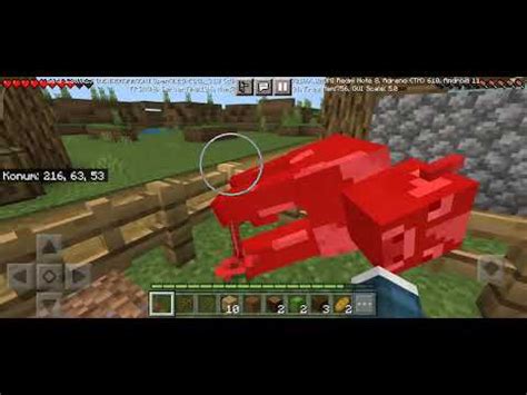 Minecraft Hayatta Kalma 1 Bölüm YouTube