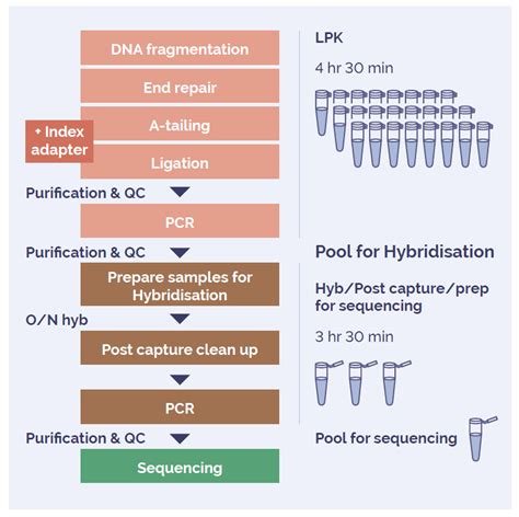 next generation sequencing workflow