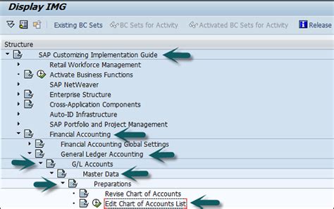 SAP Master General Ledger IN SAP FI