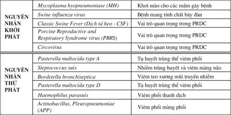BỆNH HÔ HẤP PHỨC HỢP TRÊN HEO PRDC Eco Nam Dũng