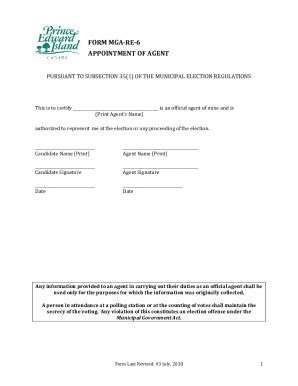 Fillable Online Appendix B Template Policy For Independent Candidate