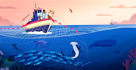 Pesca ilegal en Galápagos