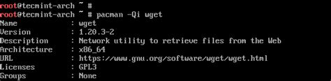 How To Install Wget In Linux