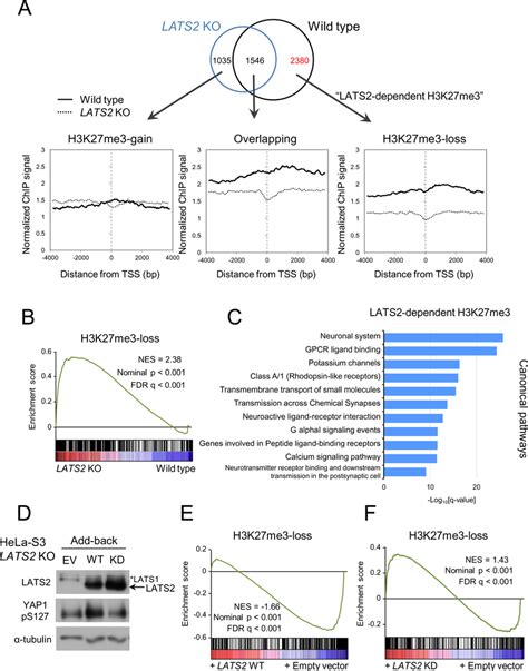 Chip Seq Profiling For Lats Dependent H K Me Targets A Top Venn