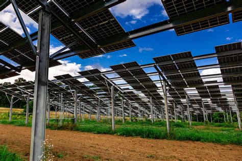 La agrovoltaica promete ser el futuro del campo y de la energía Y