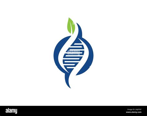 DNA Vector Logo Design Template Genetics Vector Design Stock Vector