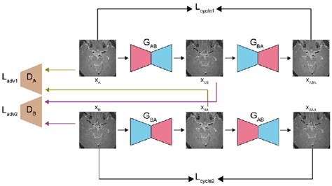 basic implementation of cyclegan for unsupervised learning download scientific diagram
