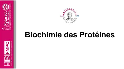 SOLUTION Biochimie Structurale Des Proteines S1 Medecine Studypool