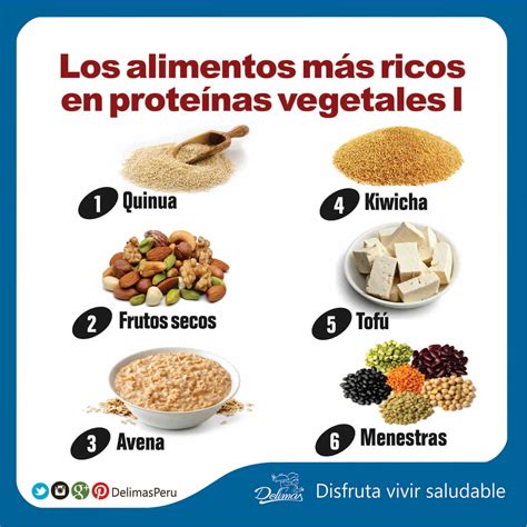 Alimentos M S Ricos En Prote Na Vegetal Descubre Cu Les Son Blog