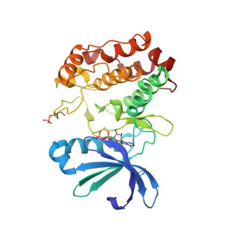 RCSB PDB 5ORN Crystal Structure Of Aurora A Kinase In Complex With