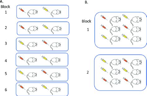 Understanding A Randomised Block Design RBD In A RBD Each Block Can