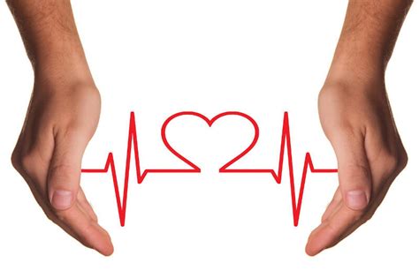 Herz Kreislauf Erkrankungen Ursachen Symptome Behandlung