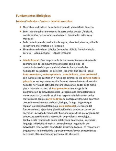 Lóbulos Cerebrales Silvia Cendra uDocz