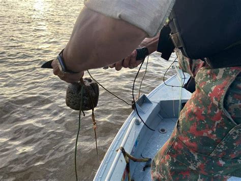 Pescador é multado em R 1 mil por pesca ilegal no Rio Paraná Meio