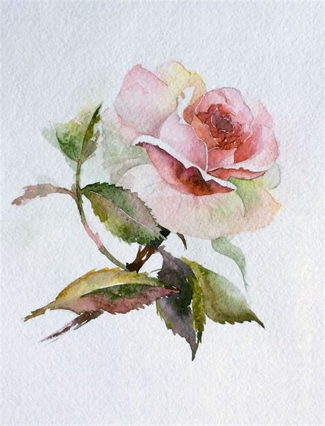 Pin by talina on رسم بسيط in 2024 Watercolor flower art Flower art
