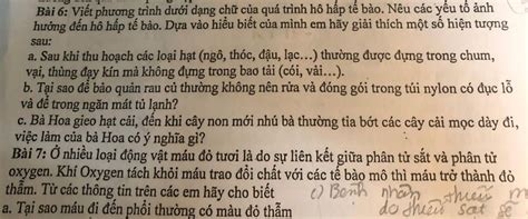 Bài 6 Viết phương trình dưới dạng chữ của quá trình hô hấp tế bào Nêu