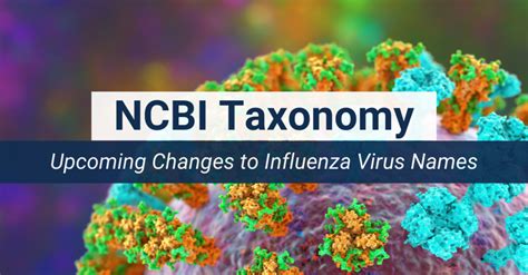 Upcoming Changes To Influenza Virus Names In NCBI Taxonomy NCBI Insights