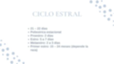 SOLUTION Ciclo Estral De La Yegua Fisiolog A De La Reproducci N 2