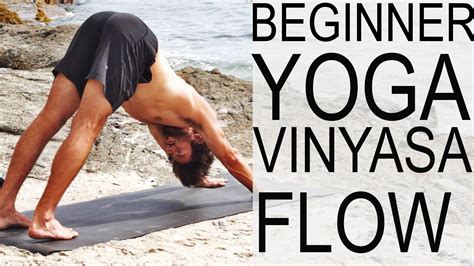 Beginner Vinyasa Flow Yoga With Tim Senesi Vinyasa Flow Yoga For