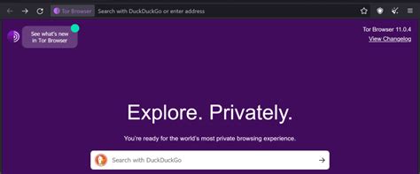 5 Best VPNs Dark Web In 2024 Secure Anonymous Browsing